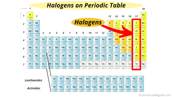 Where are the Halogens located on the Periodic table?